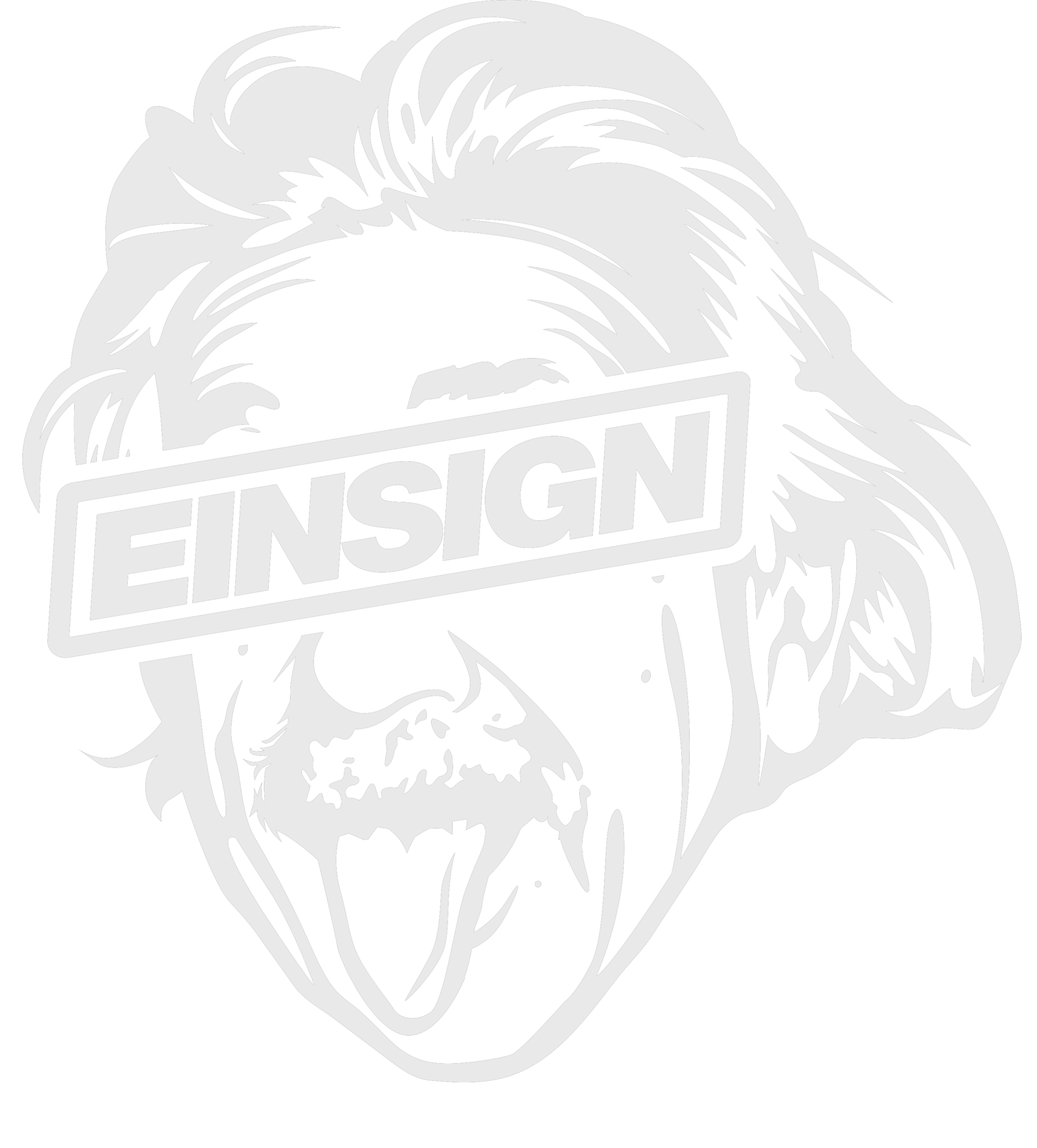Einsign – Sign maker
